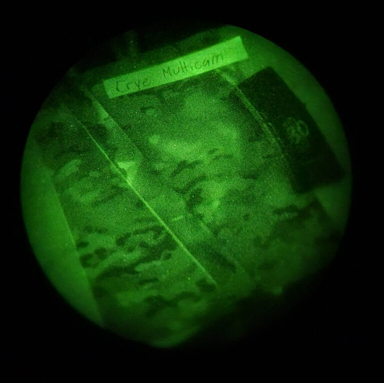 Is it NiR Compliant? - 30 Magazine Clip